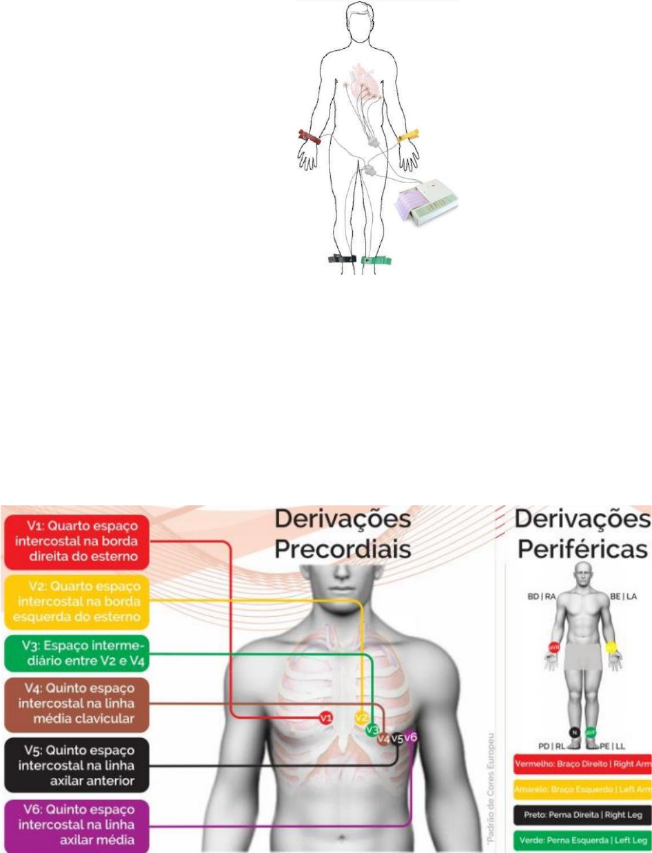 Sistema De Derivações Eletrocardiográficas – ANGOMED, 47% OFF
