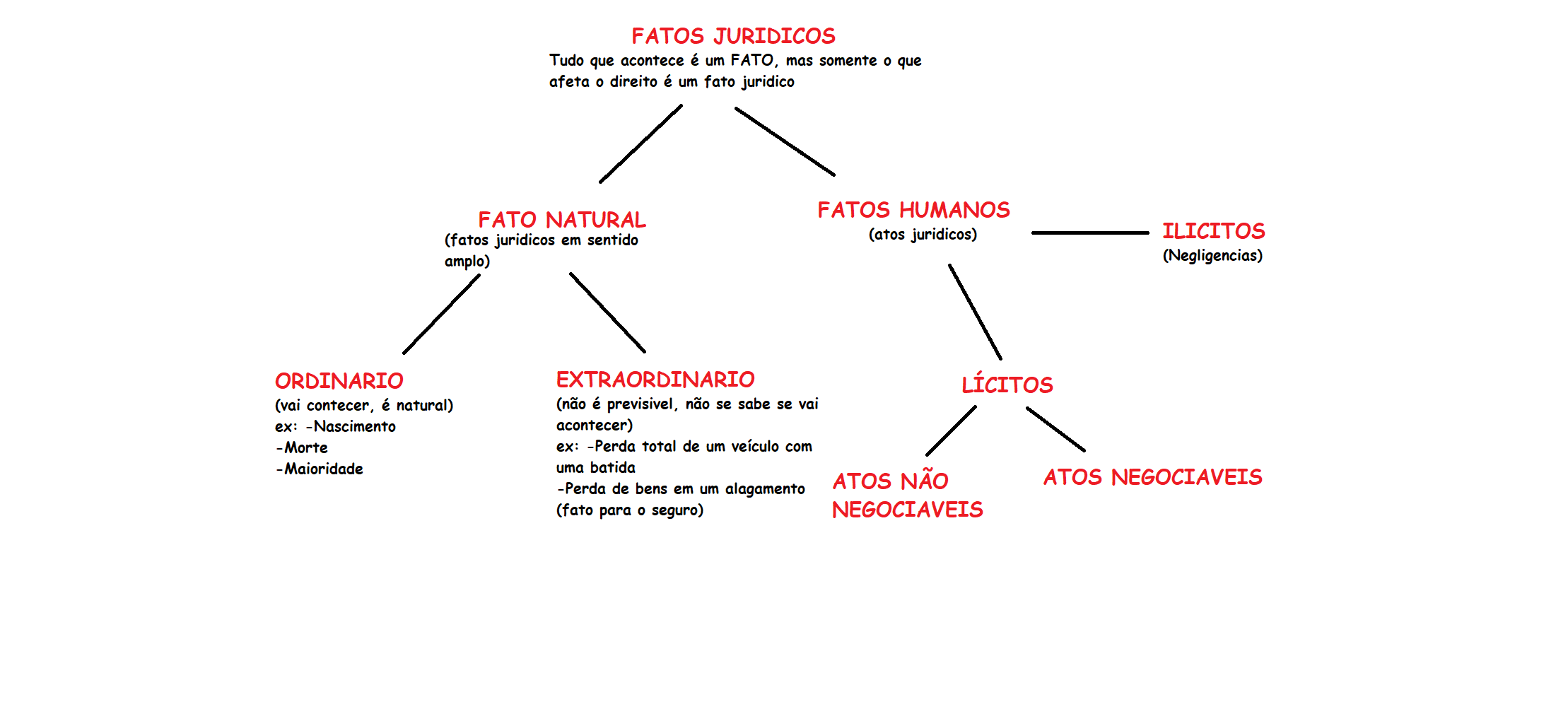 Esquema básico fato juridico - Direito Civil I