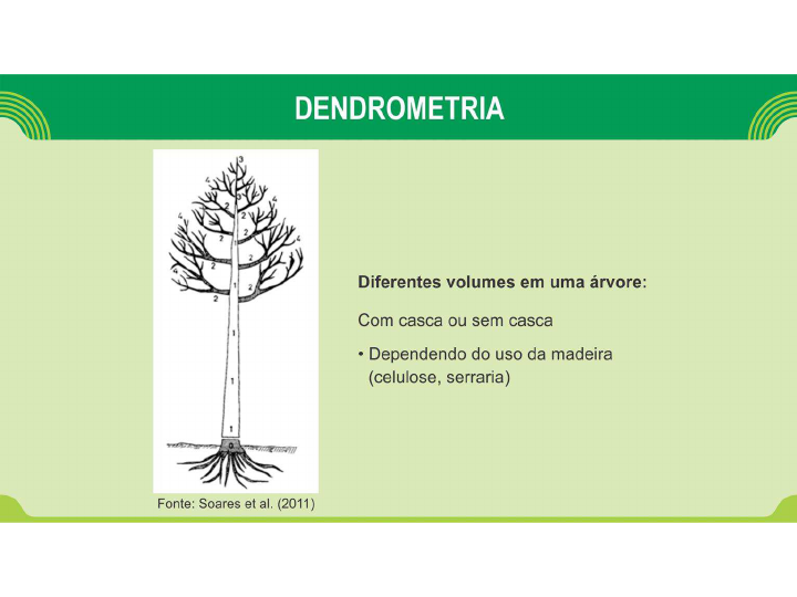 Dendrometria - Volume - Dendrometria