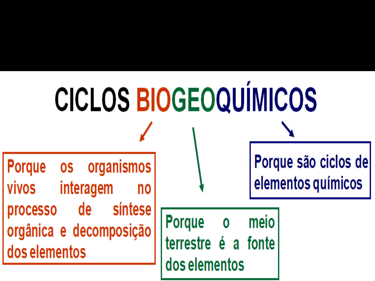 AULA 4 CiclosBiogeoquimicos - Manejo e Gestão Ambiental