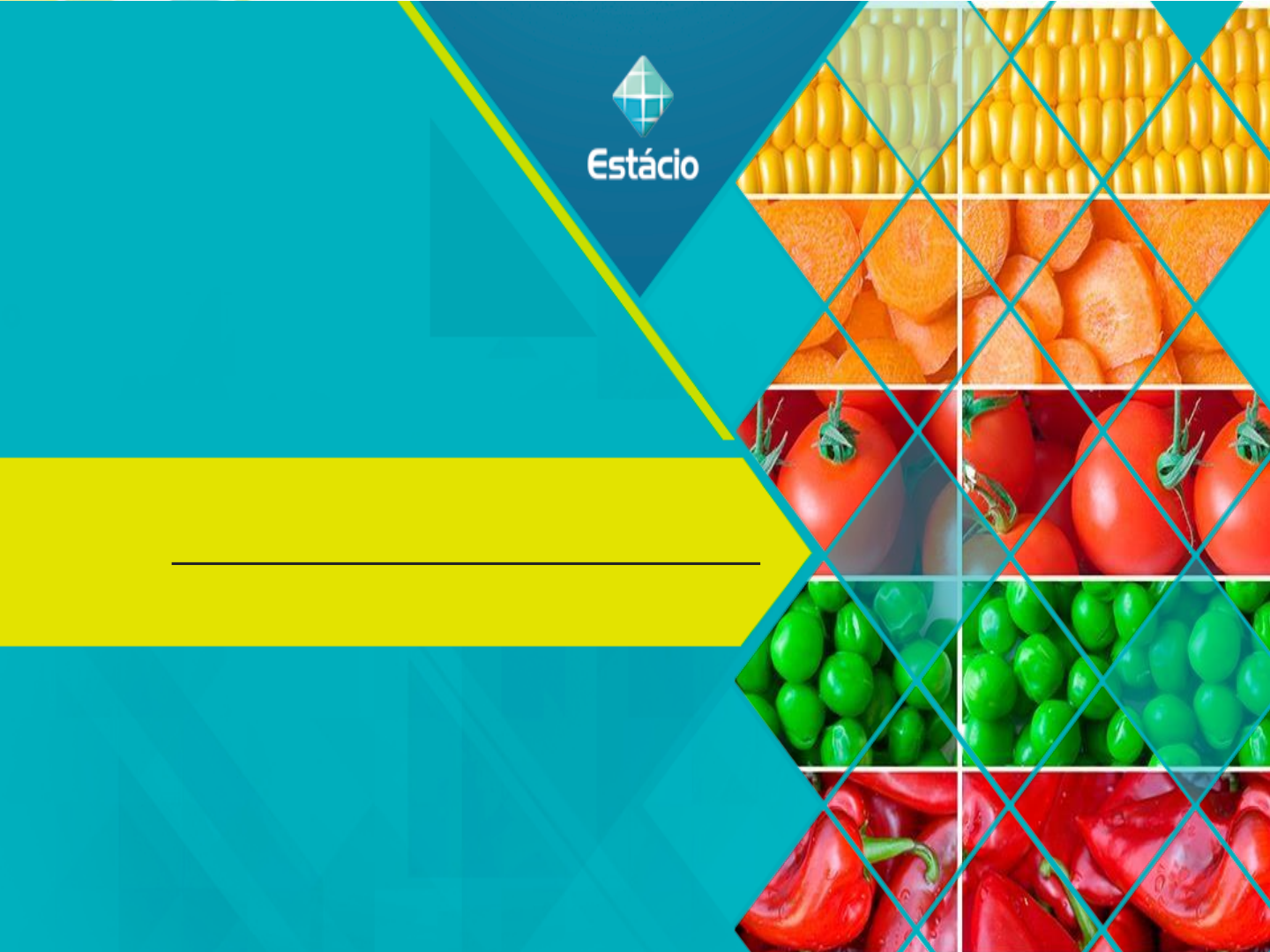 Continuous Quality Improvement Through PDCA And DMAIC, 48% OFF