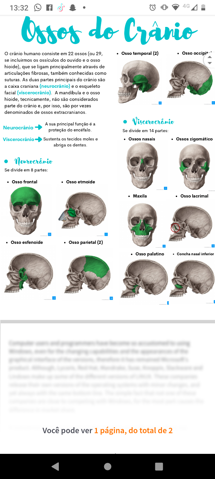 ossos da face - Anatomia de Cabeça e Pescoço