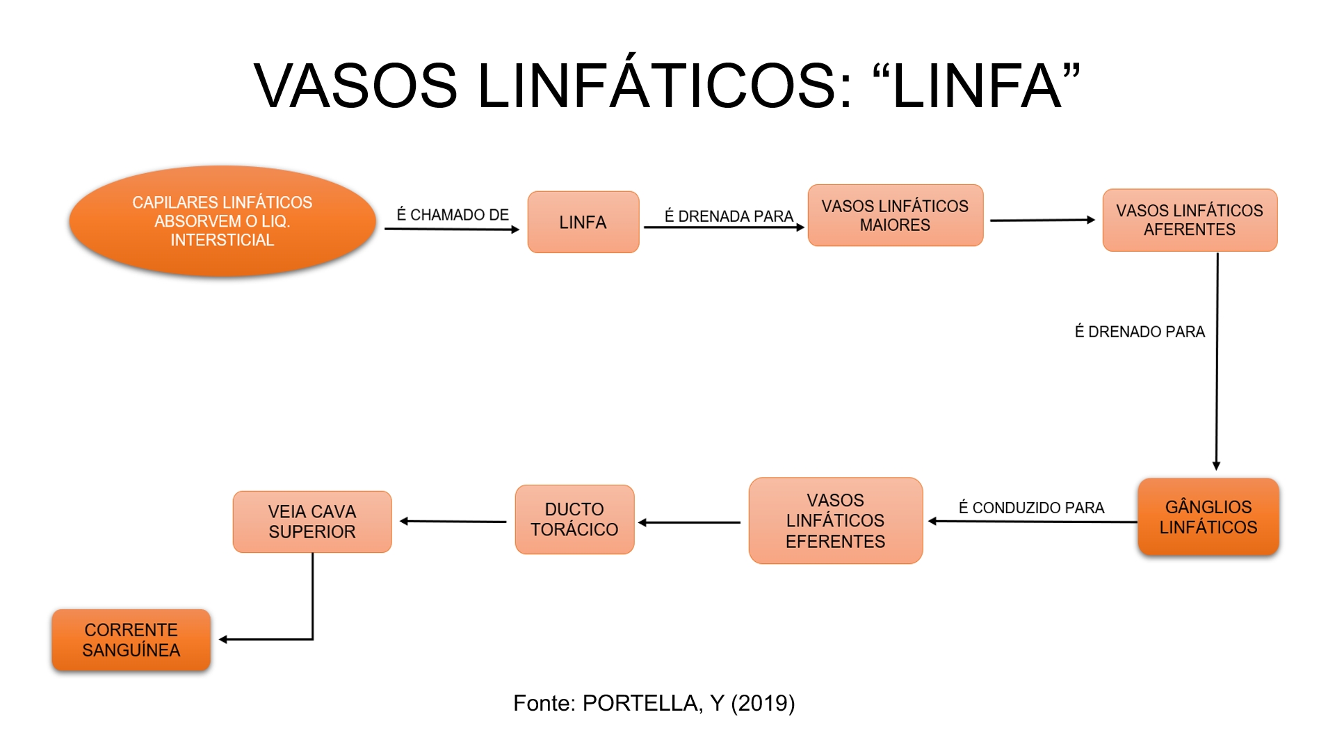 LINFA - Imunologia