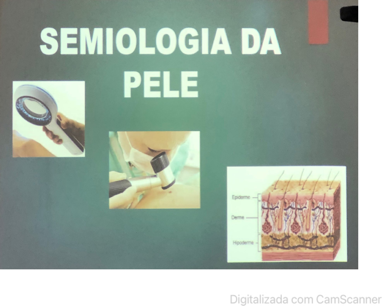 Semiologia da pele - Dermato