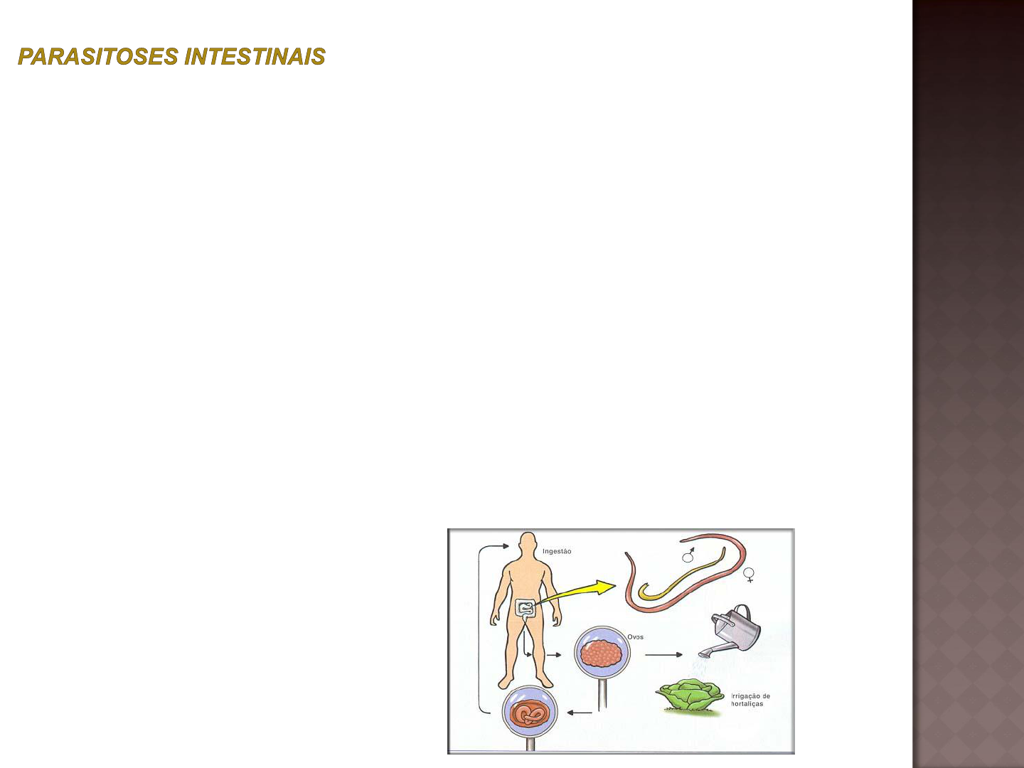 AULA 3 PARASITOSES INTESTINAIS (1) - Pediatria I