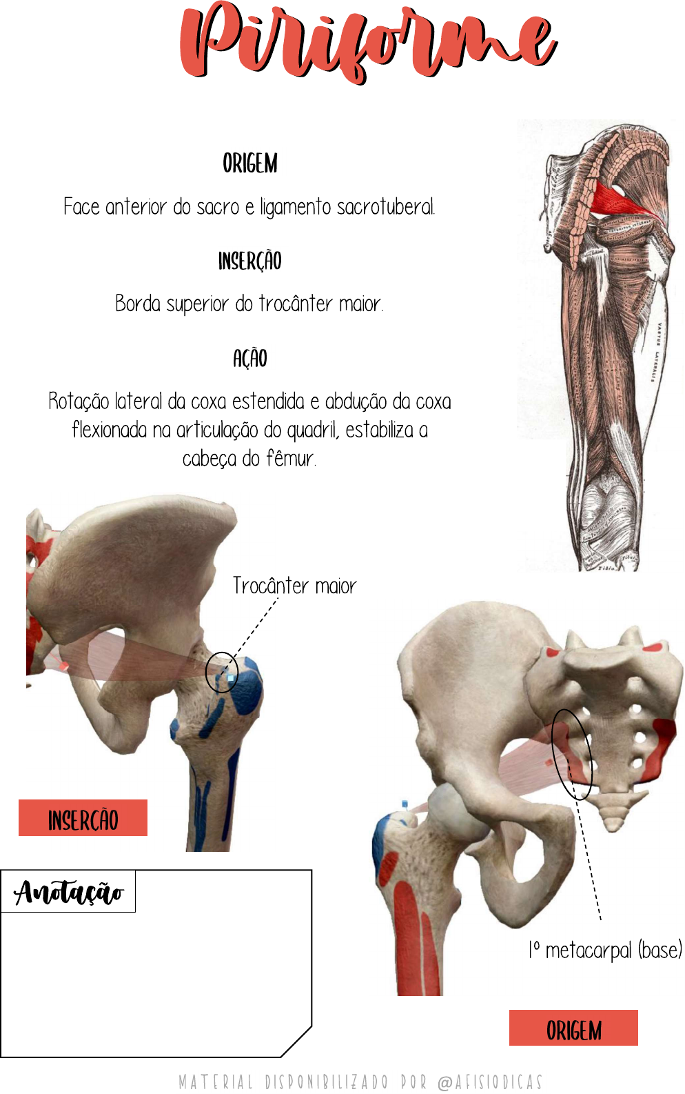 Residuo Do Seio Piriforme Prótese Mamária: Reconheça Roturas Na