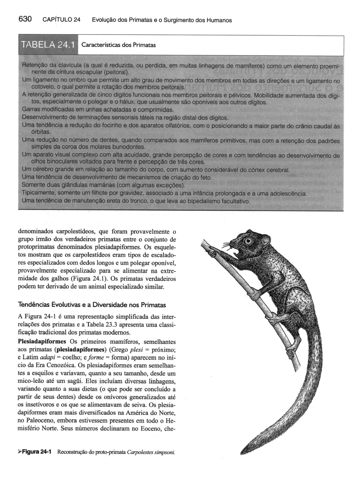A vida dos vertebrados, Pough - Cap 24 Evolução dos Primatas e o ...