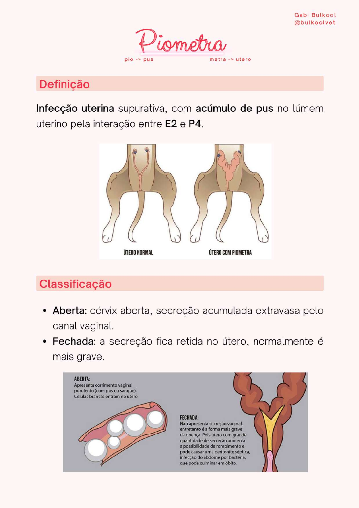Piometra - Doenças Patológicas.