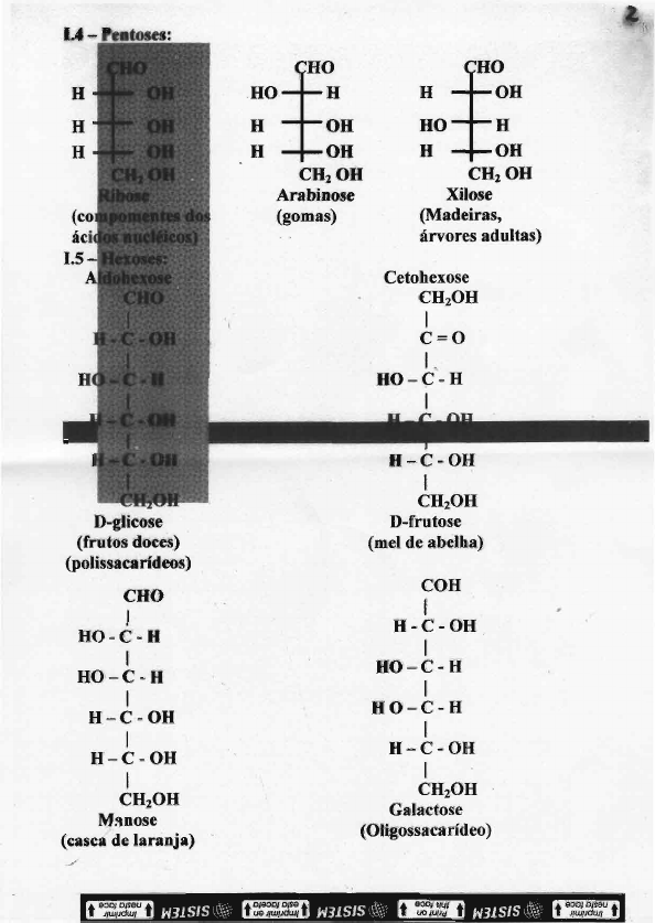 Aula Glicídios - Farmacognosia II