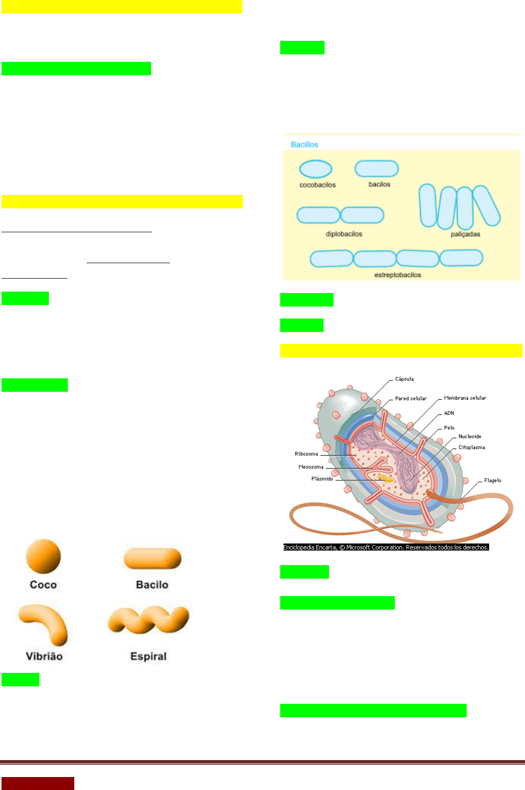 Bacterias Diplobacilos