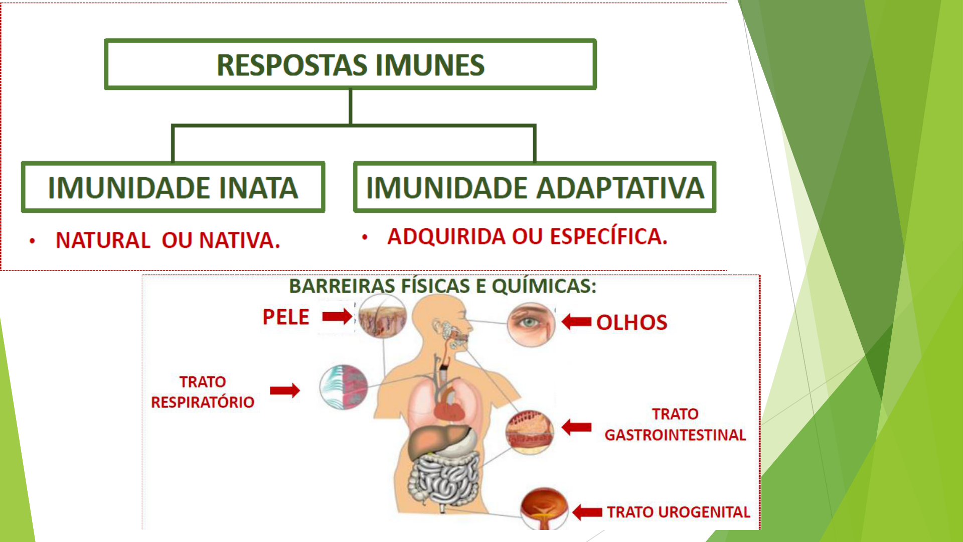 Aula 2 Resposta Imune Inata - alunos - Microbiologia e Imunologia I