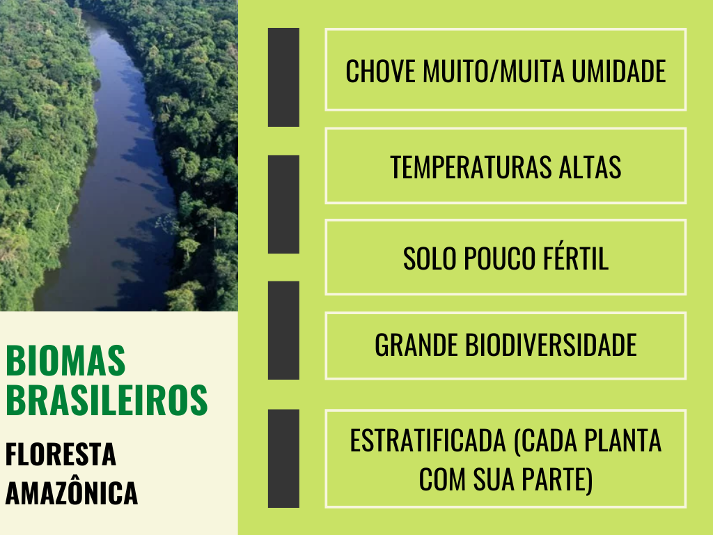 Os Biomas Brasileiros: Floresta Amazônica - Enem