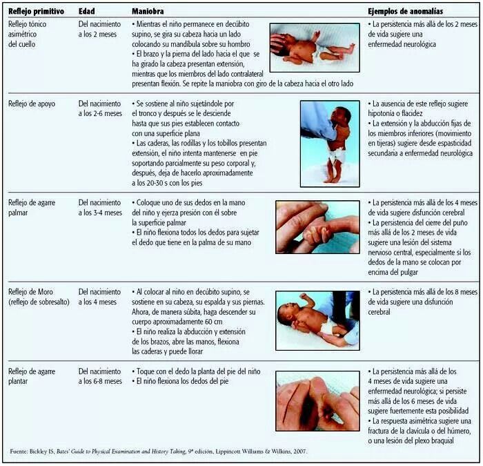 reflexos rn - Pediatria I