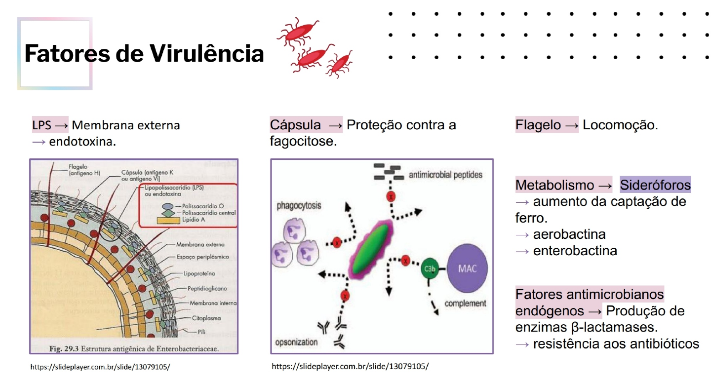 O Que São Fatores De Virulência - RETOEDU