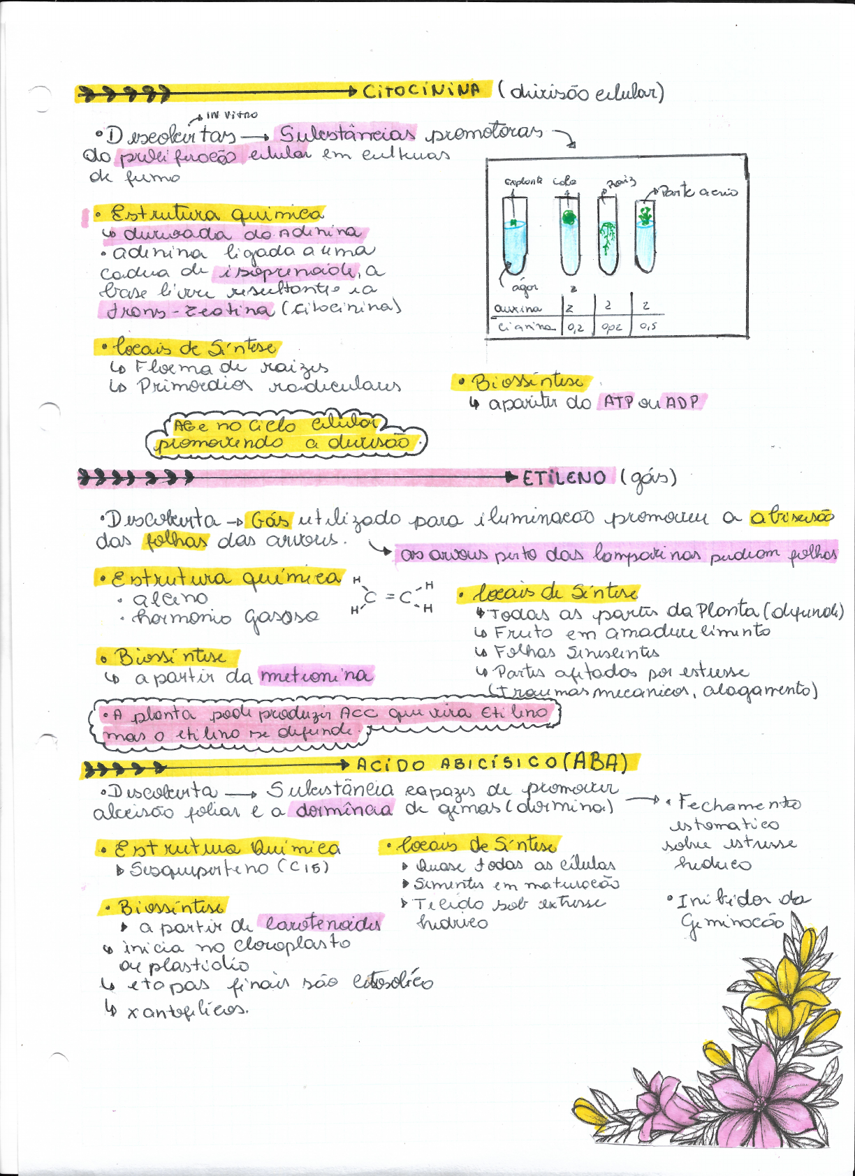Fitormônios 1- Fisiologia vegetal - Morfologia e Fisiologia Vegetal