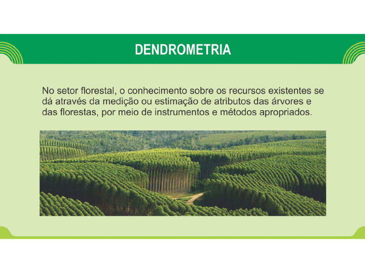 AULA 10 DENDROMETRIA DIAMETRO - Gestão Ambiental
