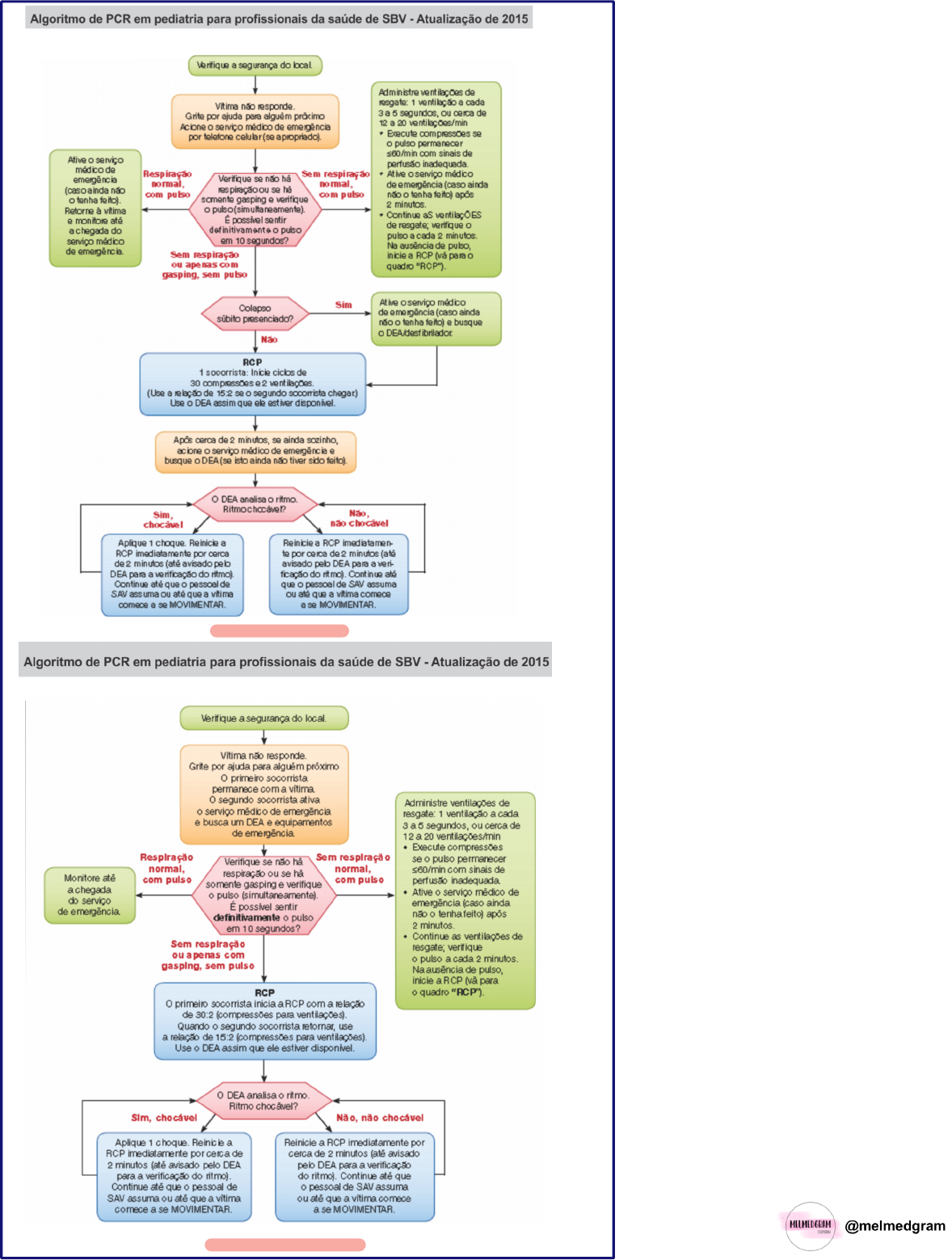 Roteiro BLS - Habilidades e Atitudes Médicas