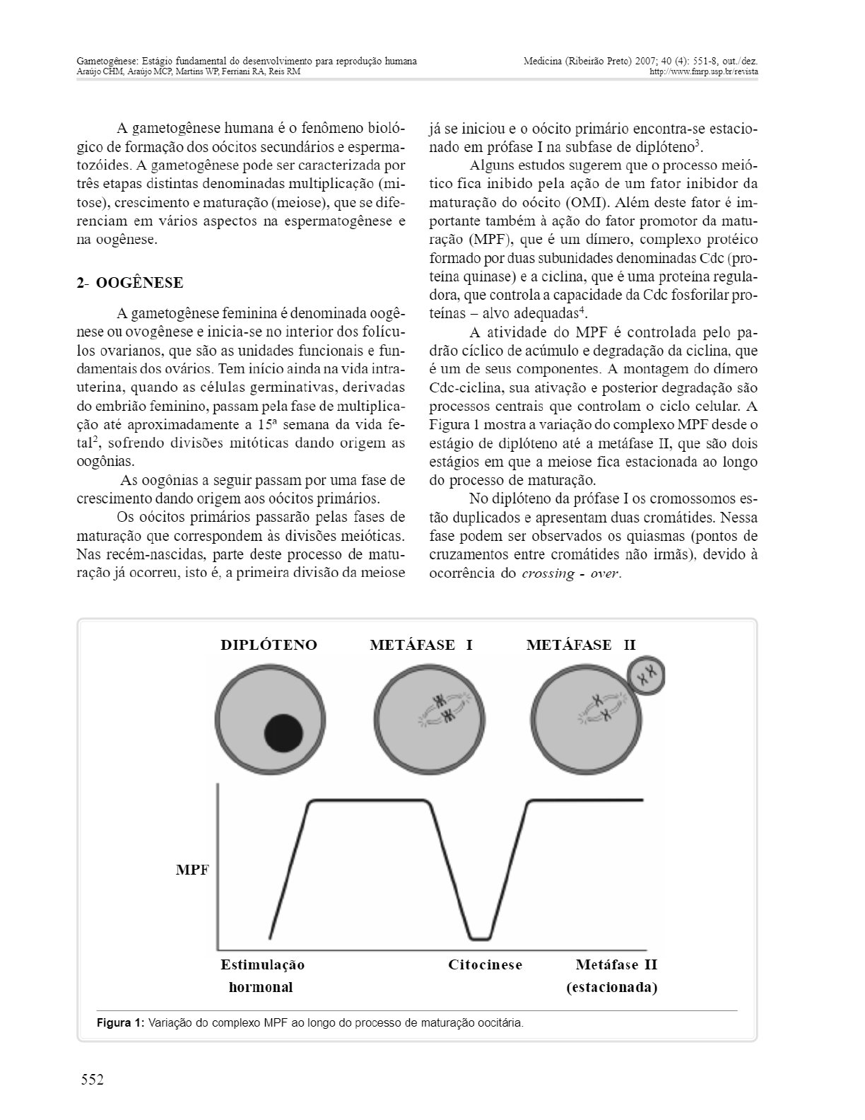 GAMETOGÊNESE ESTÁGIO FUNDAMENTAL DO DESENVOLVIMENTO PARA REPRODUÇÃO ...