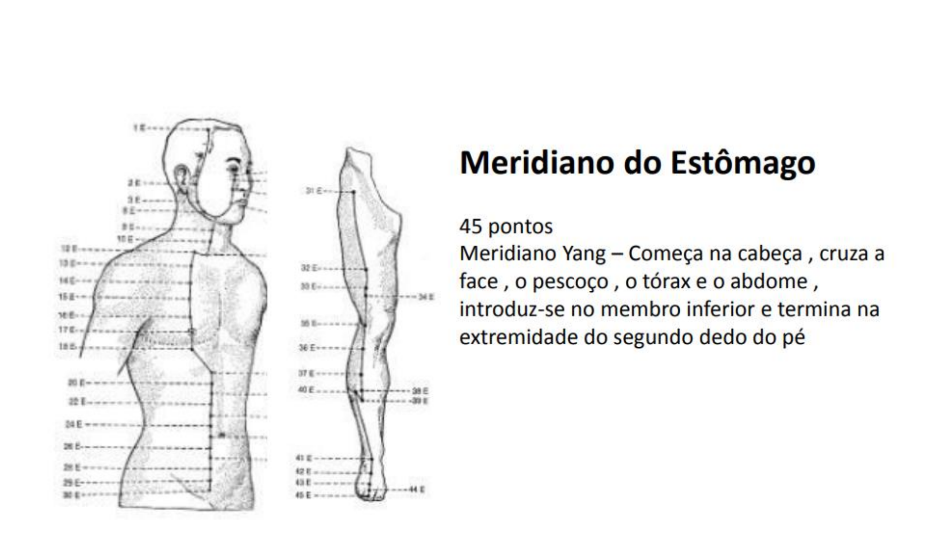 Apostila de Meridianos - Acupuntura