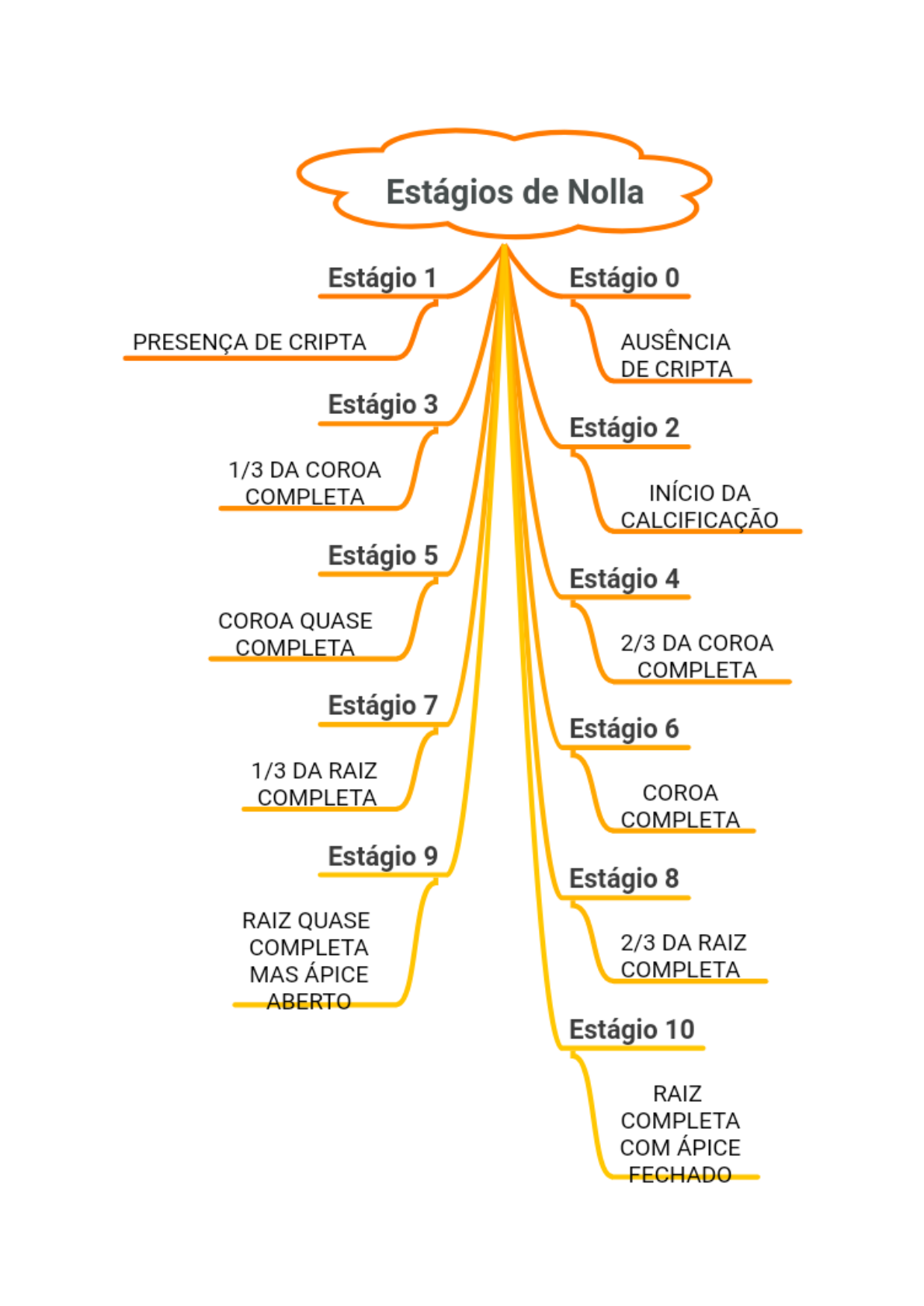 Mapa Mental Estágios de Nolla - Odontopediatria