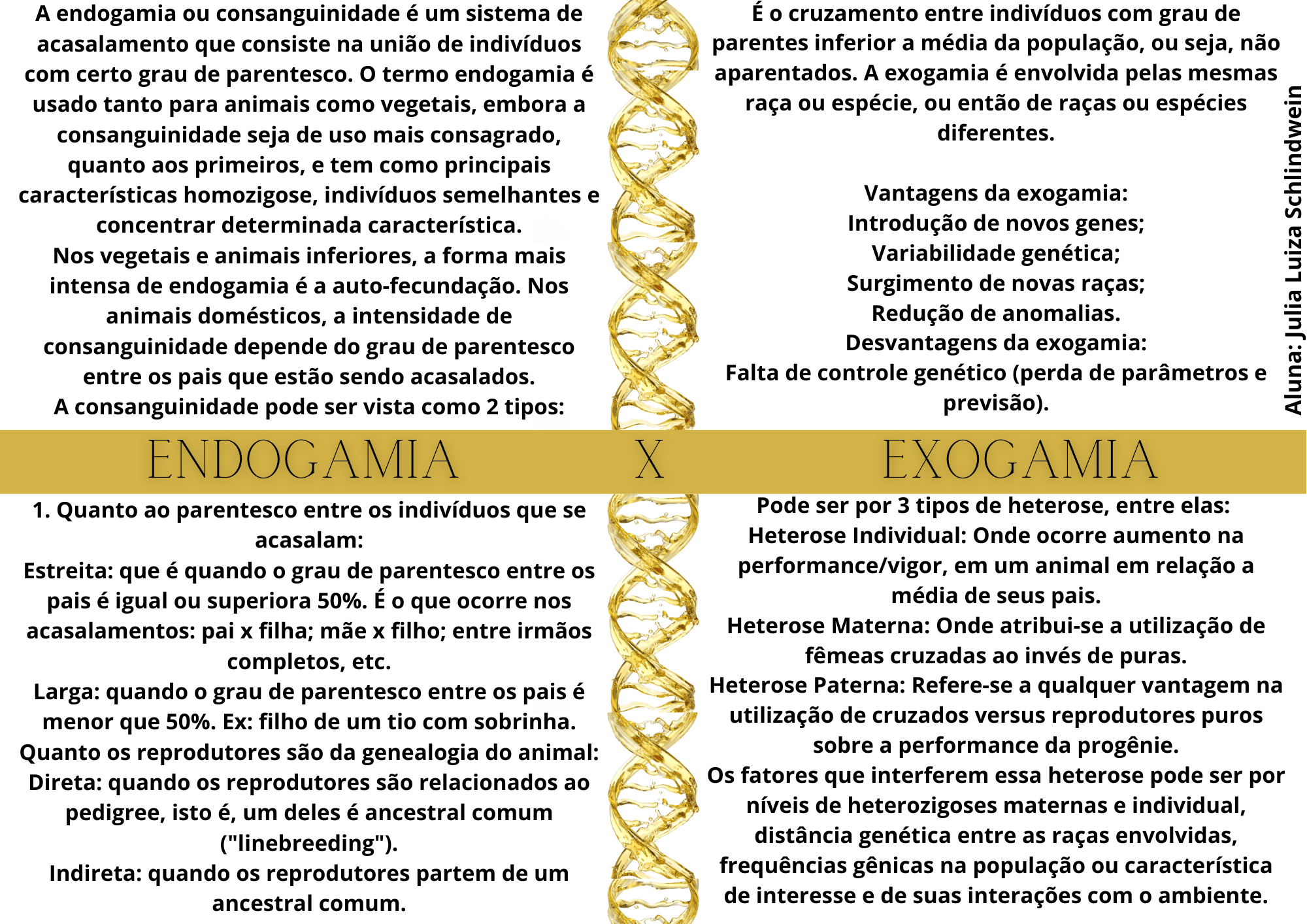 Endogamia X Exogamia - Melhoramento Animal