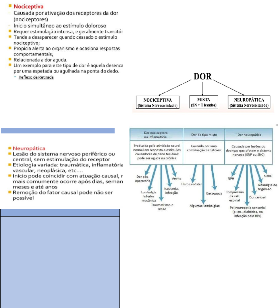 Introdução à dor - Dor e Cuidados Paliativos