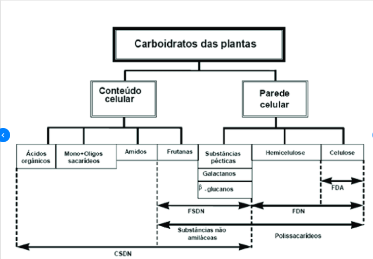 FDN E FDA - Nutrição Animal