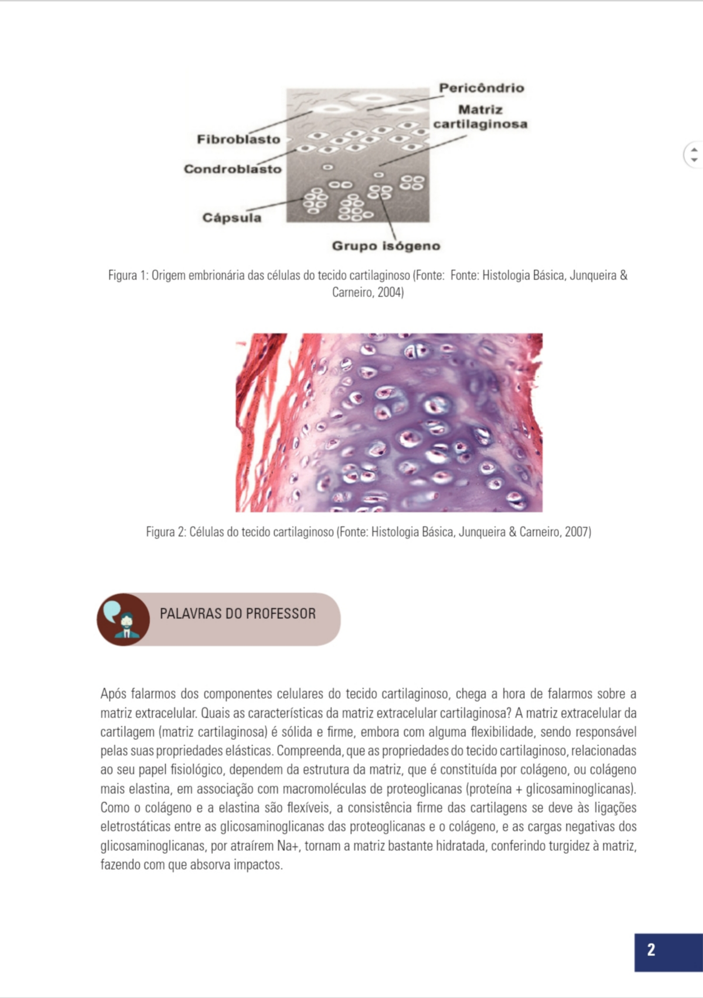 Guia de Estudos da Unidade 3 - HISTOLOGIA - Histologia e Embriologia Guia de Estudos da Unidade 3 - HISTOLOGIA - Histologia e Embriologia