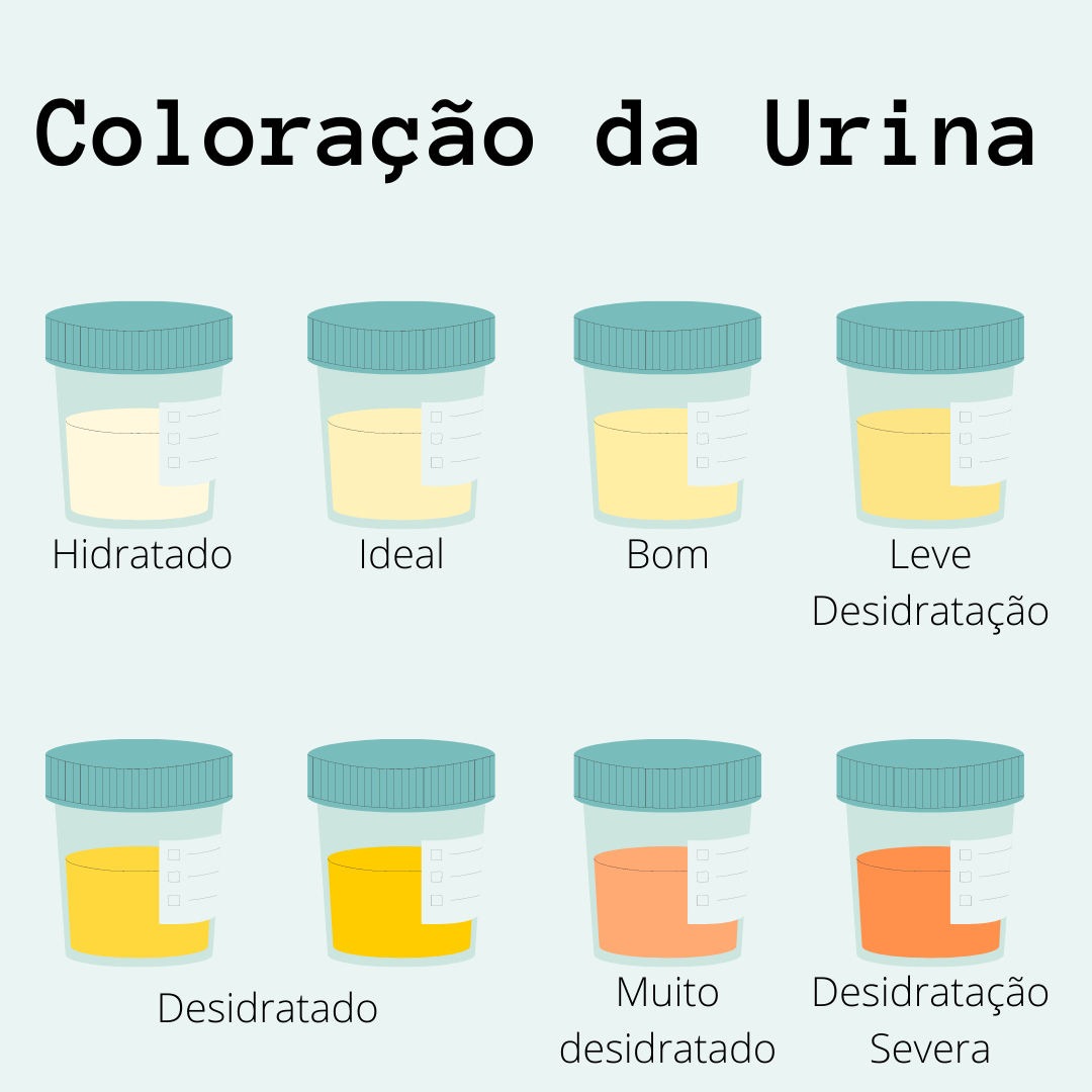 Coloração da Urina - Urina