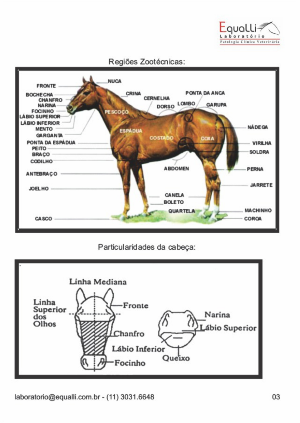 Guia Preenchimento Resenhas- Equinos - Equideocultura