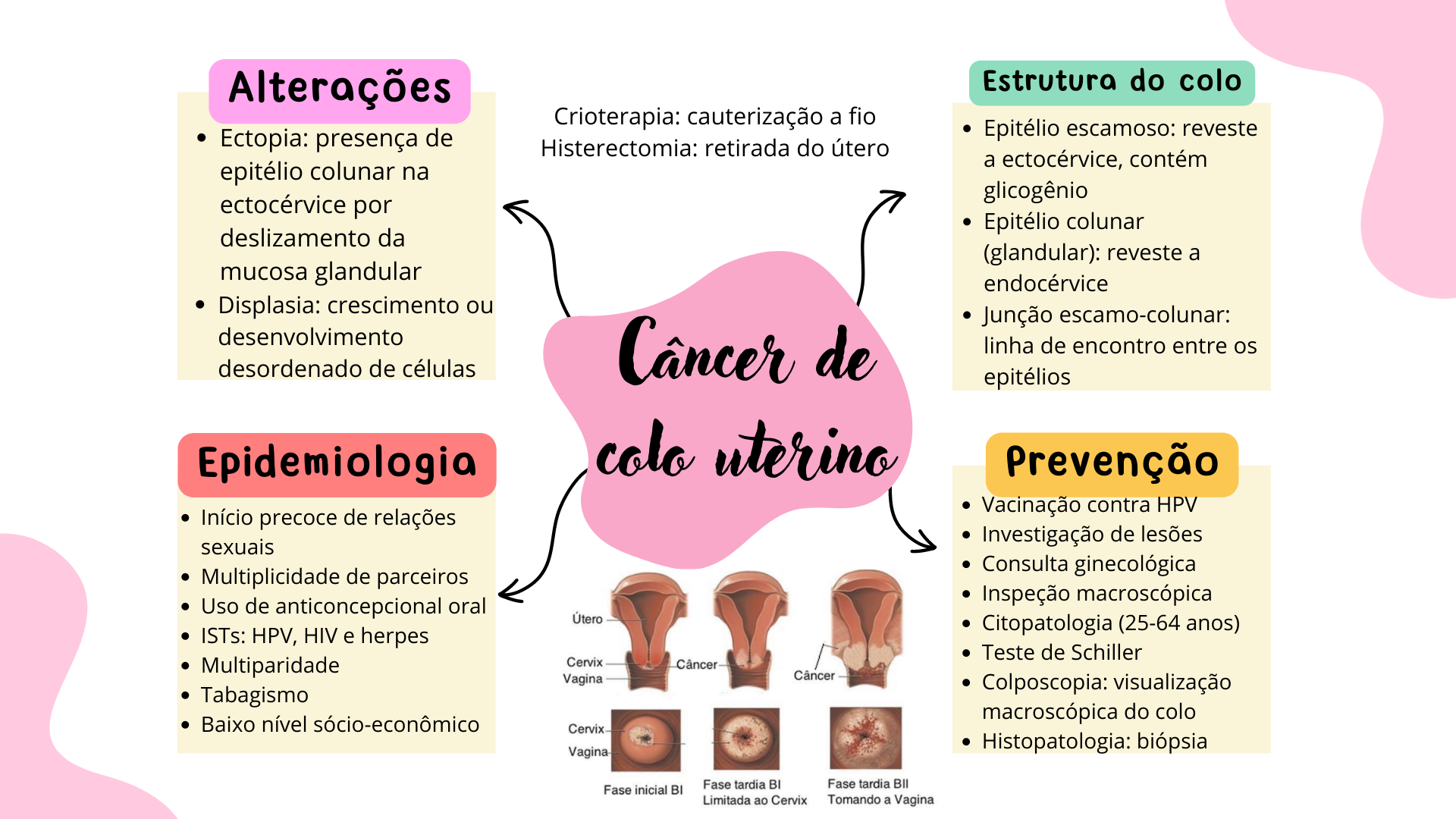 Câncer de colo uterino - Saúde da Mulher