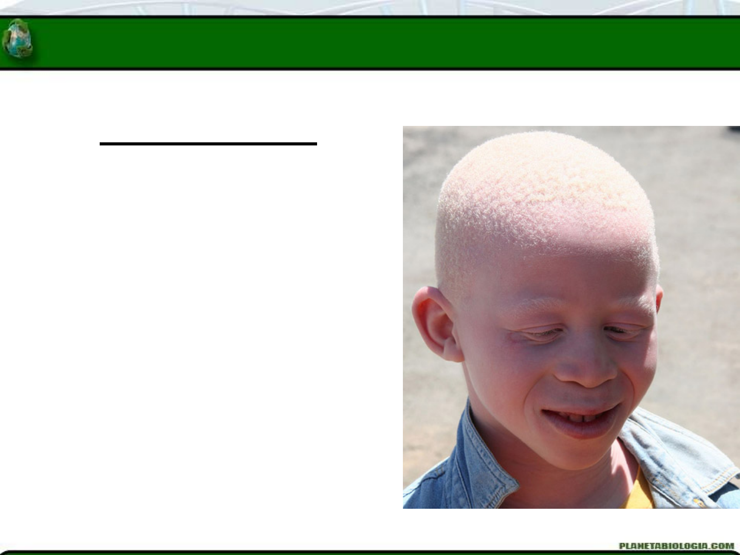 Malcolm Gin's Instagram, Twitter & Facebook on IDCrawl