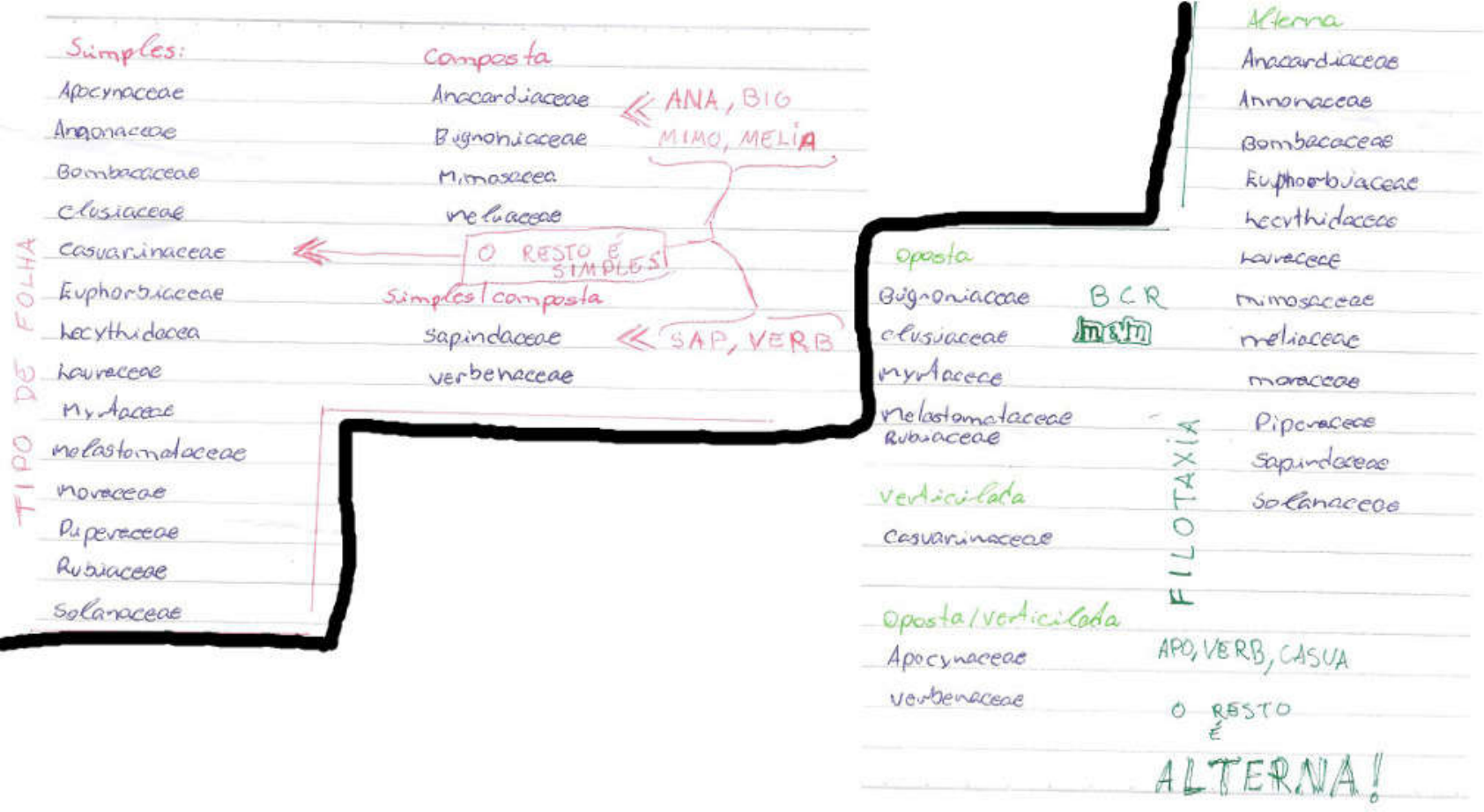 Resumo Famílias, Filotaxia e tipo de folhas - Dendrologia