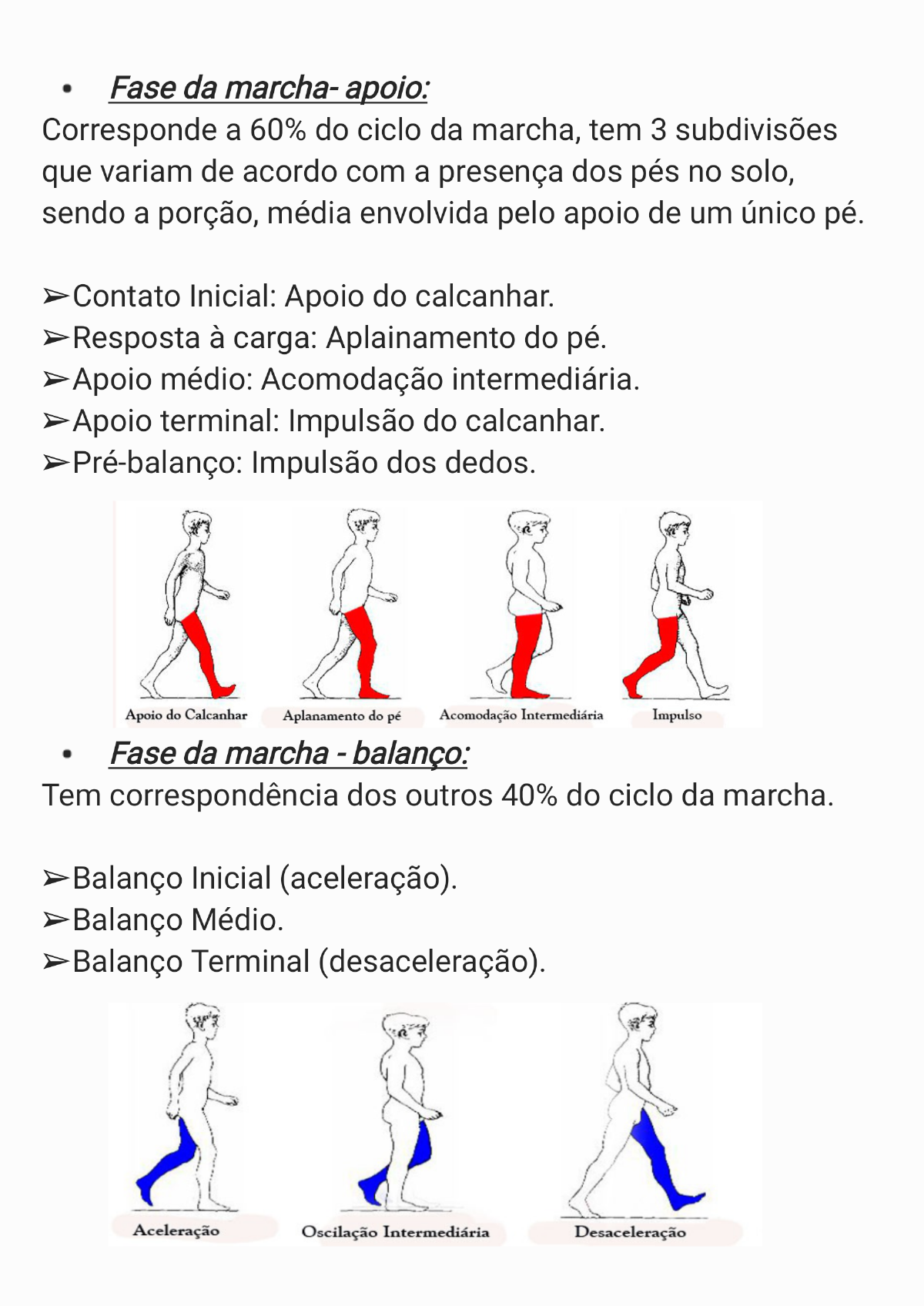 Avaliação da marcha - Cinesiologia e Biomecânica