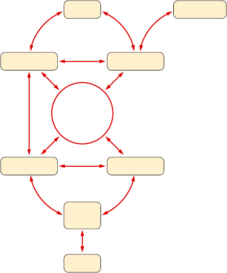 Papel da inatividade em doenças crônicas visão evolutiva e mecanismos ...