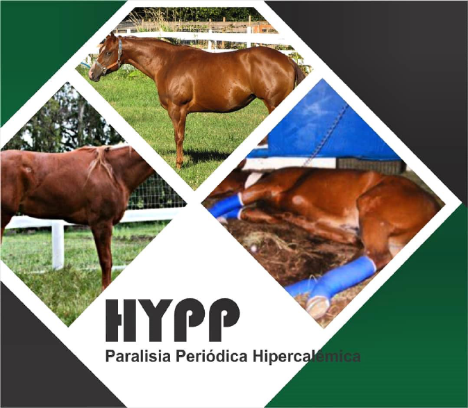 HYPP - Bioquímica I