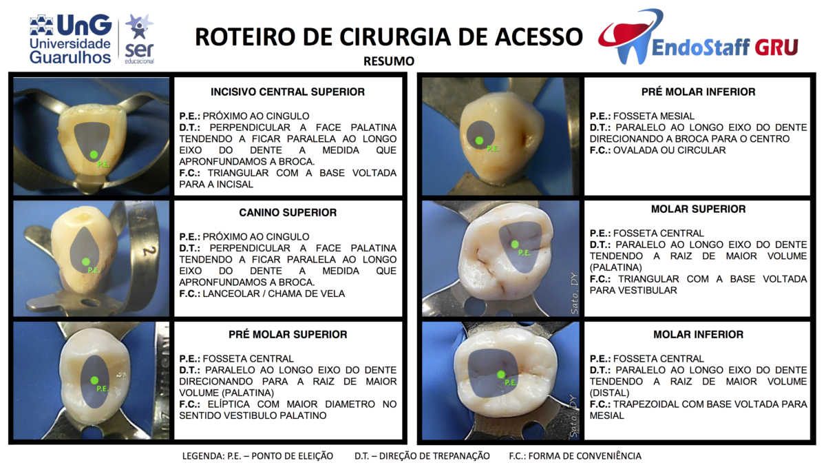 Cirurgia De Acesso Endo - RETOEDU