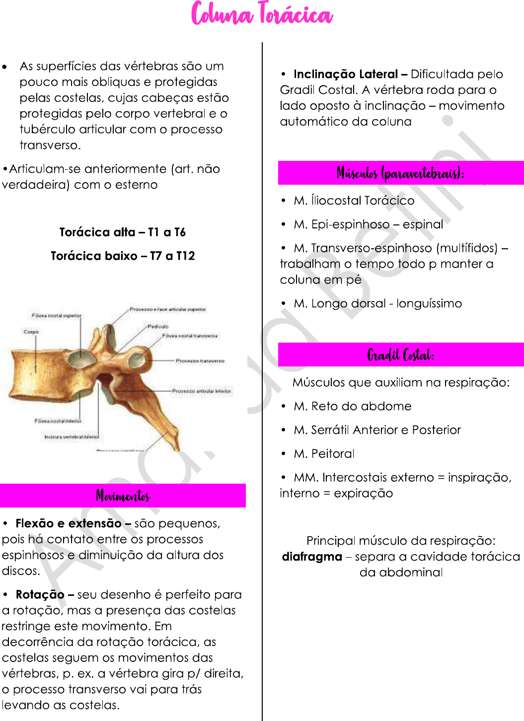 Coluna Cervical Lombar E Torácica - FDPLEARN