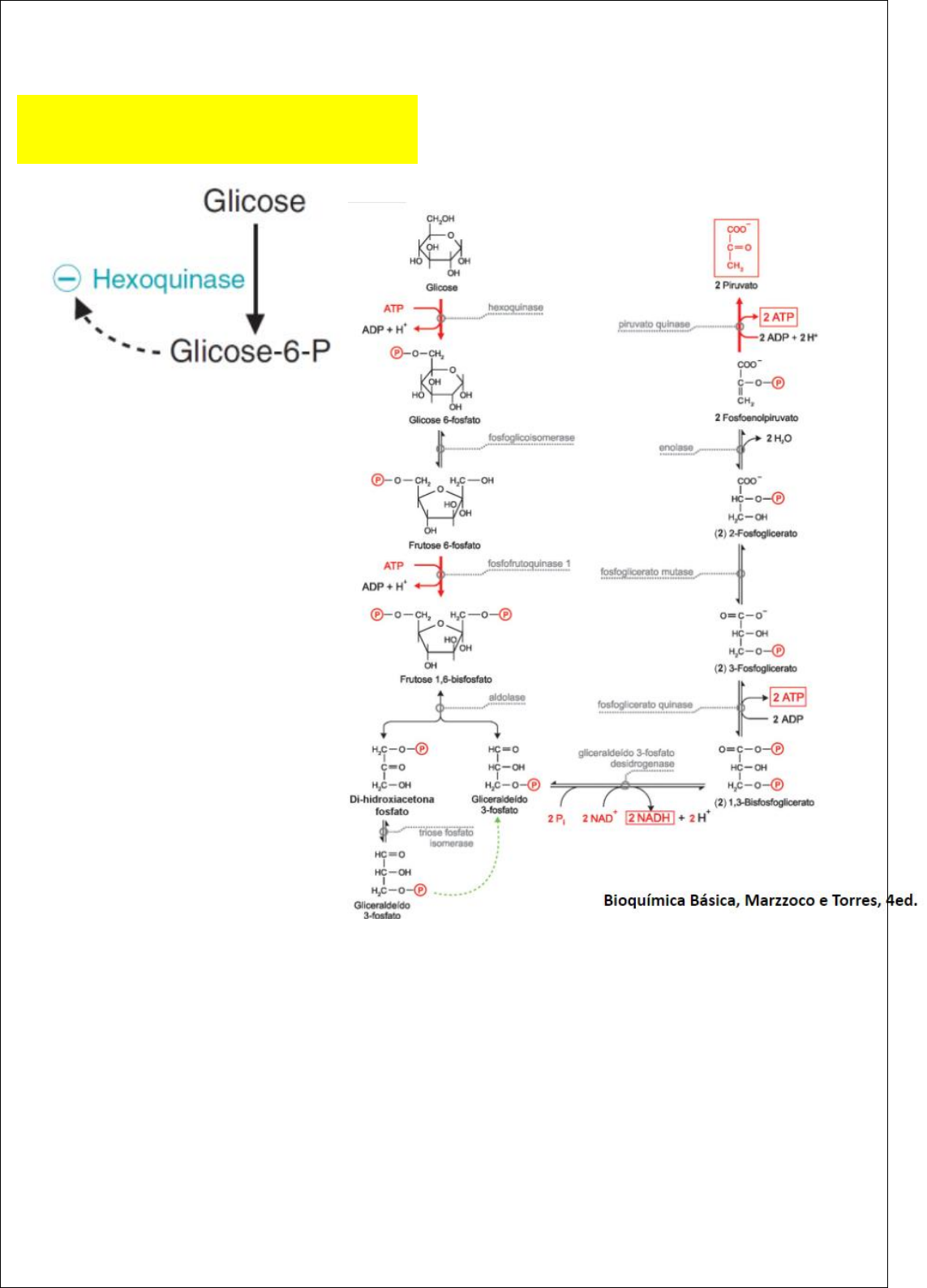 Diagrama De Glicolise Facil Monitorización De Los Cuerpos Cetónicos