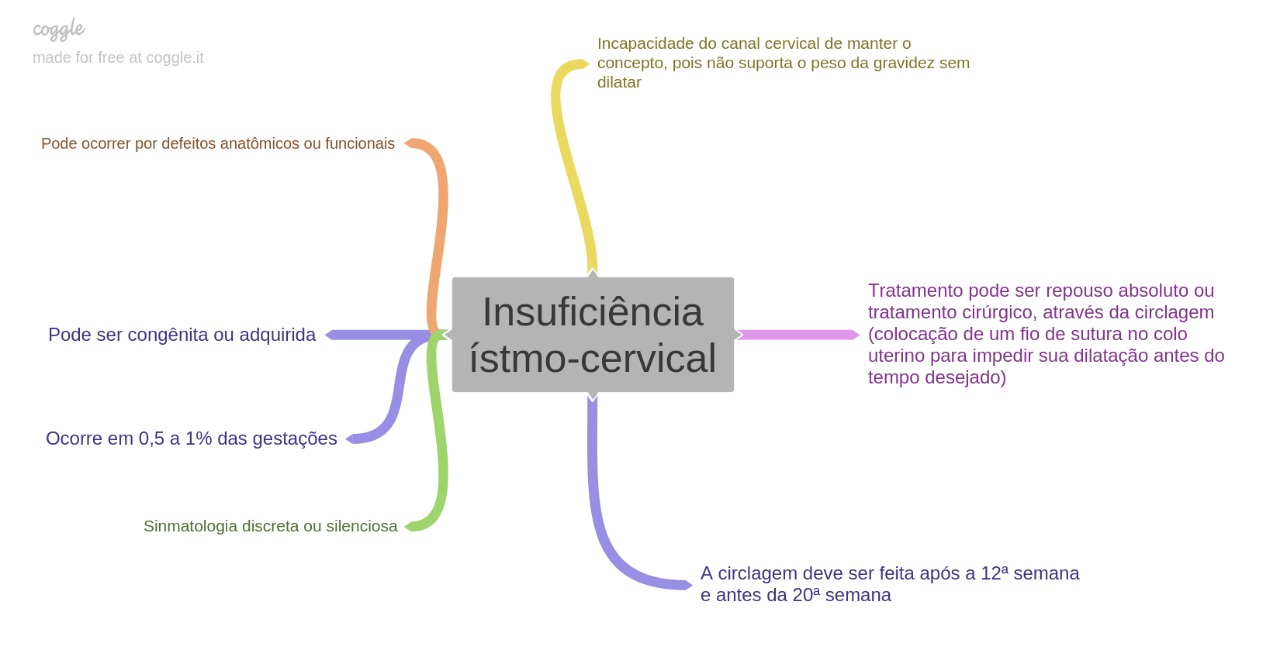 Insuficiência Ístmo-cervical - Fisioterapia na Saúde da Mulher