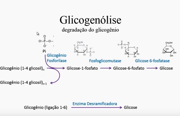 Etapas De Glicogenolise