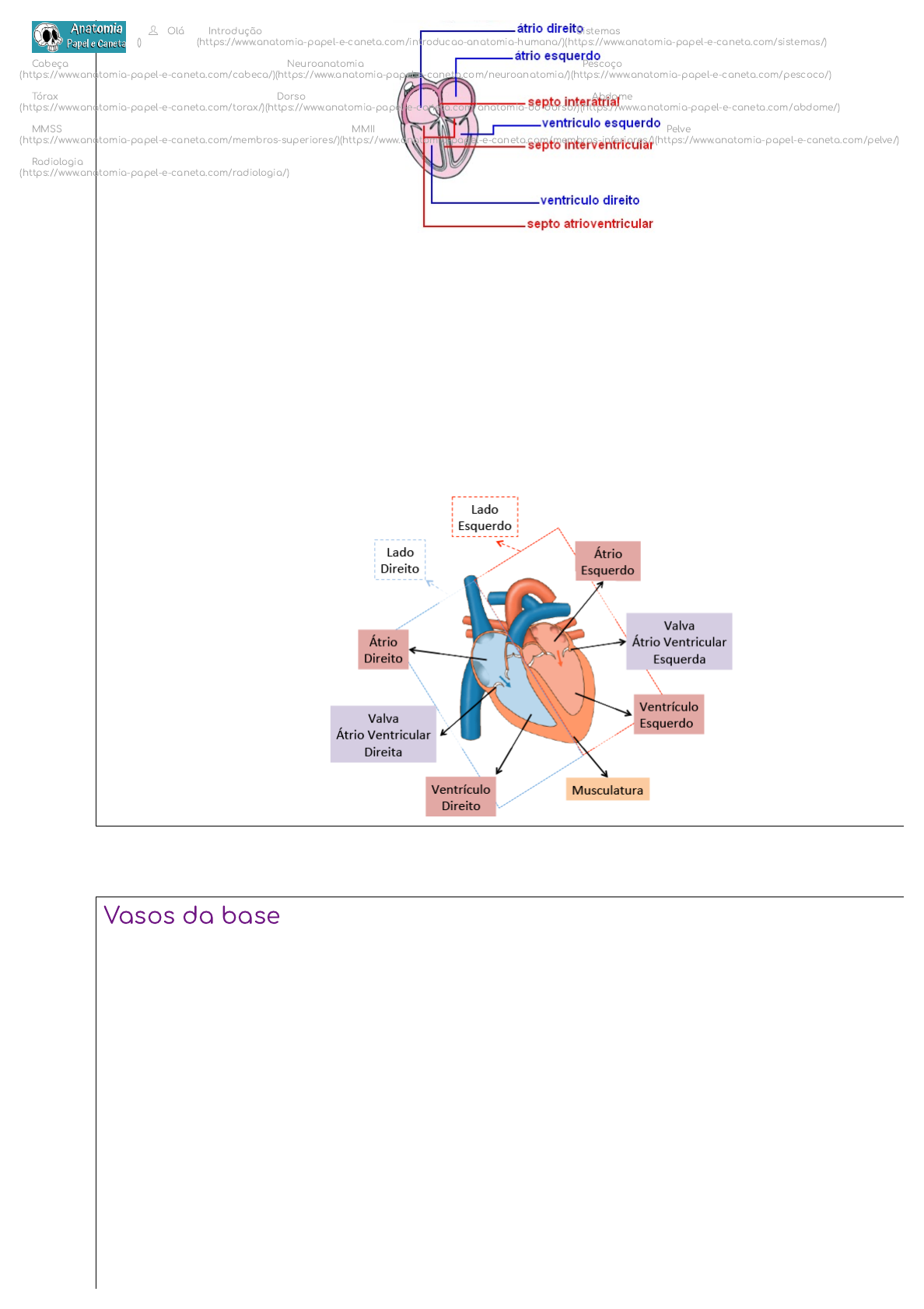 Jogos de anatomia humana – Membros superiores – Anatomia papel e caneta ... Jogos de anatomia humana – Membros superiores – Anatomia papel e caneta ...