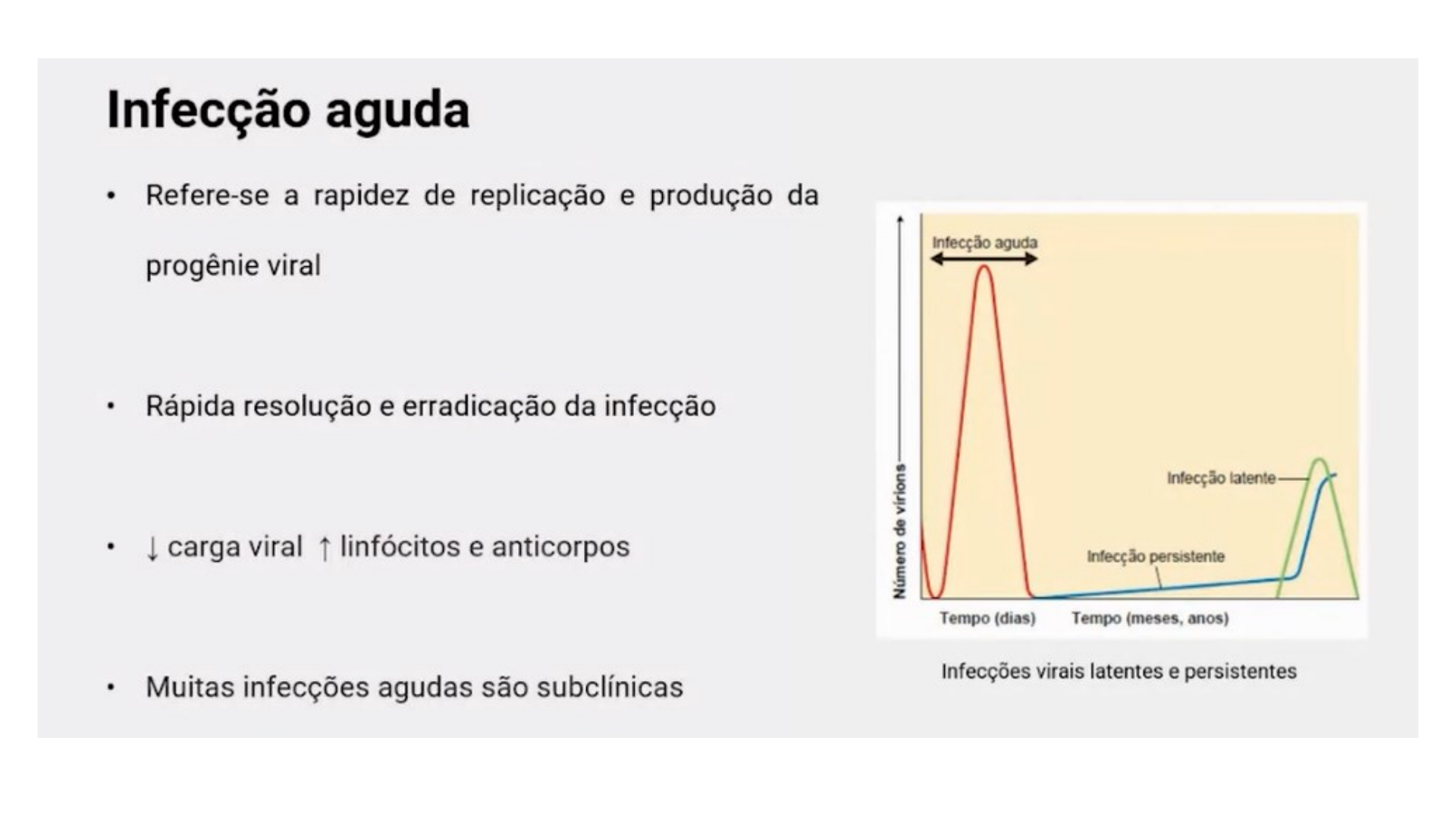 Tipos de Infecções Virais - Microbiologia
