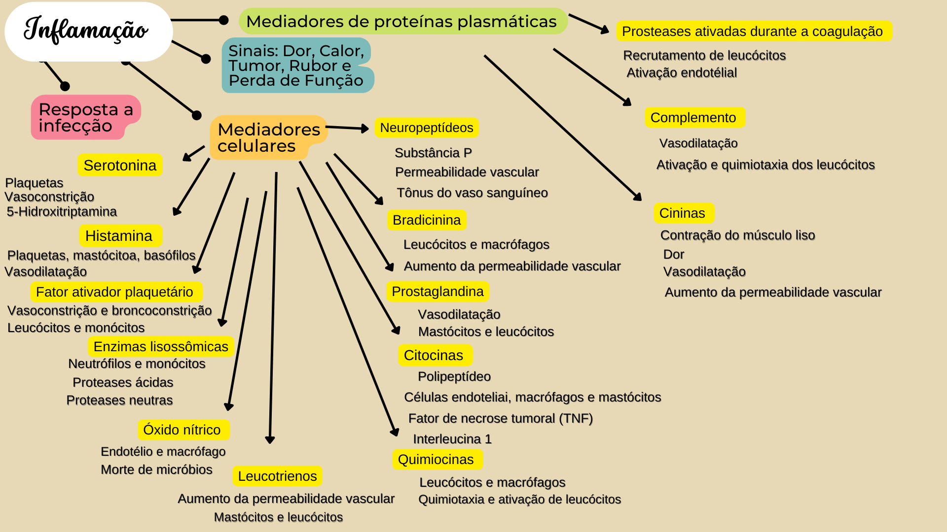 Mapas Mentais sobre HEMATOLOGIA - Study Maps - equaco.com
