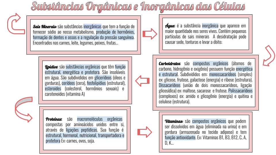 Substâncias orgânicas e inorgânicas - Biologia