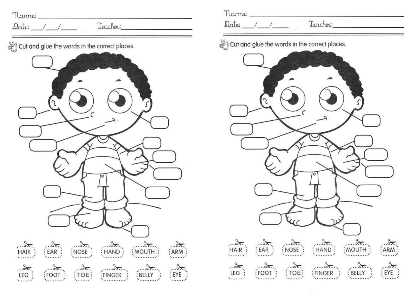 parts of body - cut and glue - Inglês