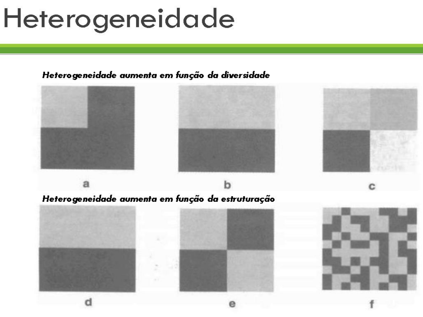 aula de heterogeneidade e fragmentação - Concursos