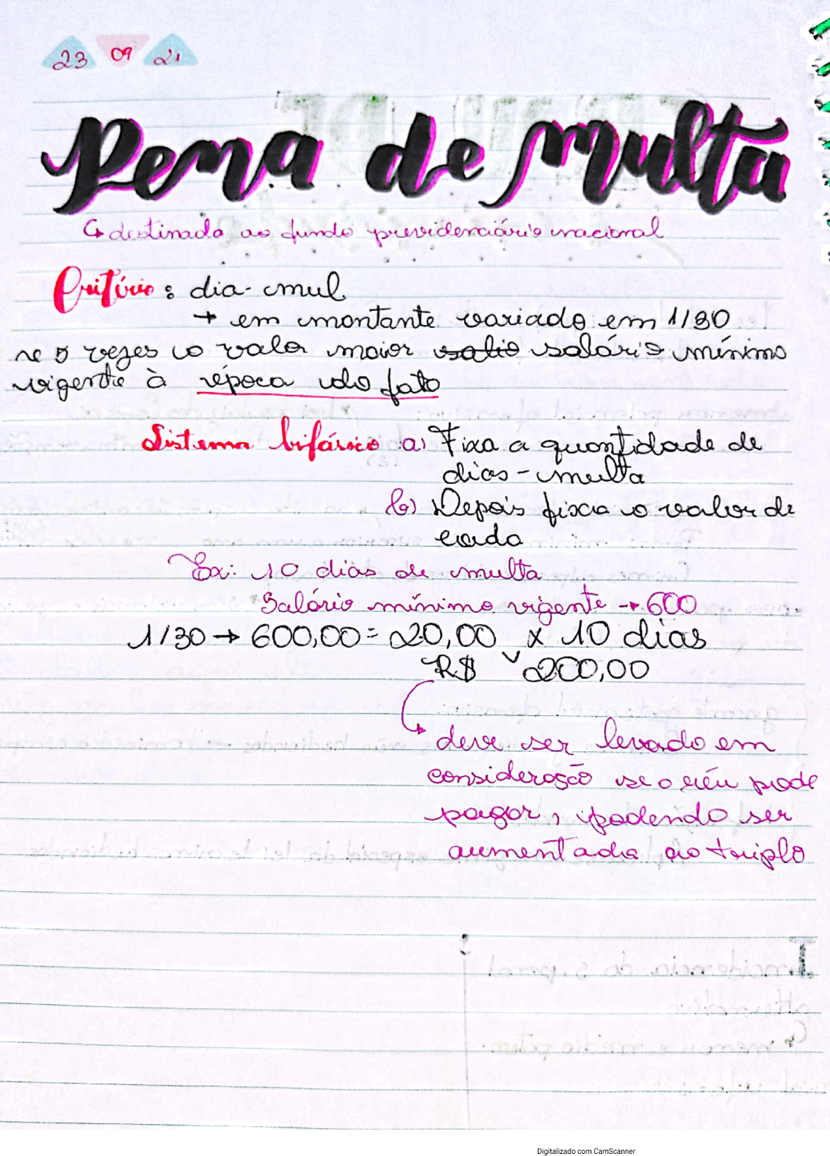 Pena De Multa Direito Penal Ii