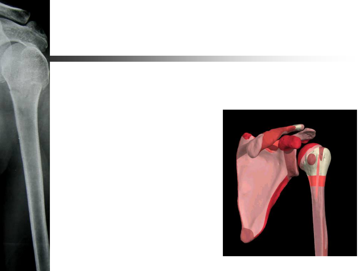 Atlas Encolheu Os Ombros Cartaz