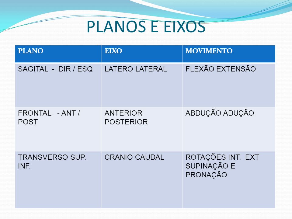 +ESQ+LATERO+LATERAL - Anatomia I